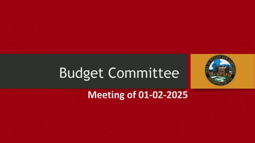 Homepage - 22 - Government